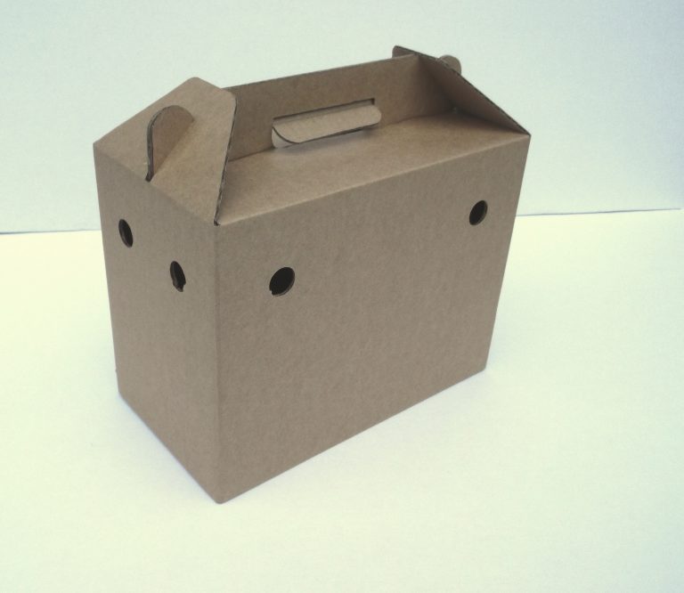 Pigeon Carrier Box x 10 - Greenpak